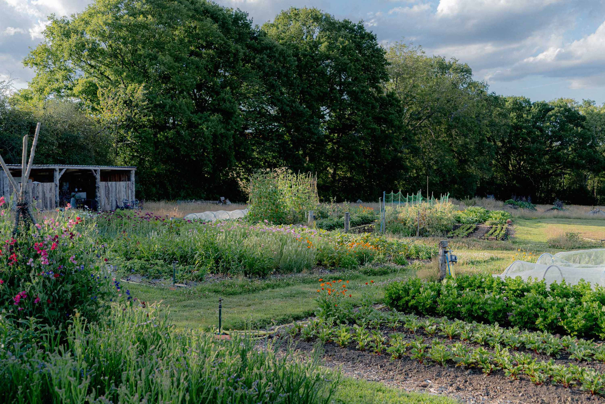Haymans Farm | Biodynamic Farm & Learning Centre | Haymans Farm ...