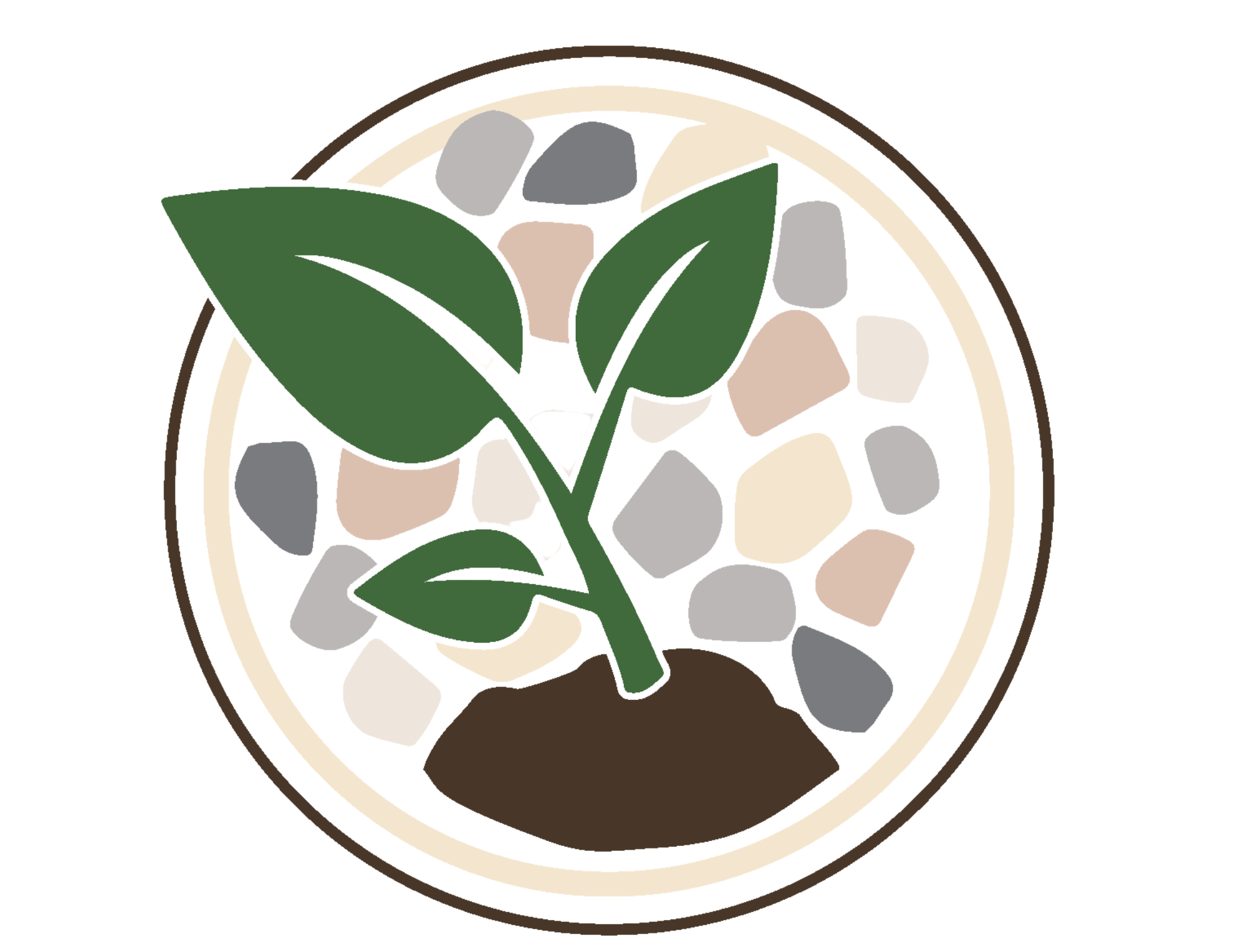 CSA Recipes - December 3, 2025