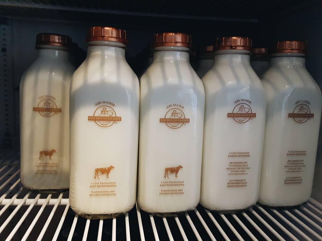 Buy Golden Guernsey Milk | United States | Golden Guernsey