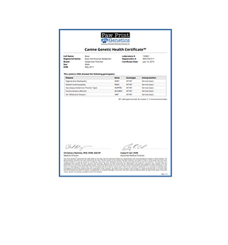 Doberman Pinscher | Team Feem Breeders | United States