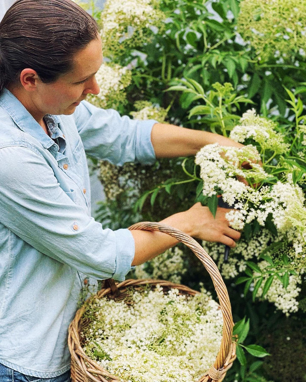 WILD FERMENTED ELDERFLOWER SODA