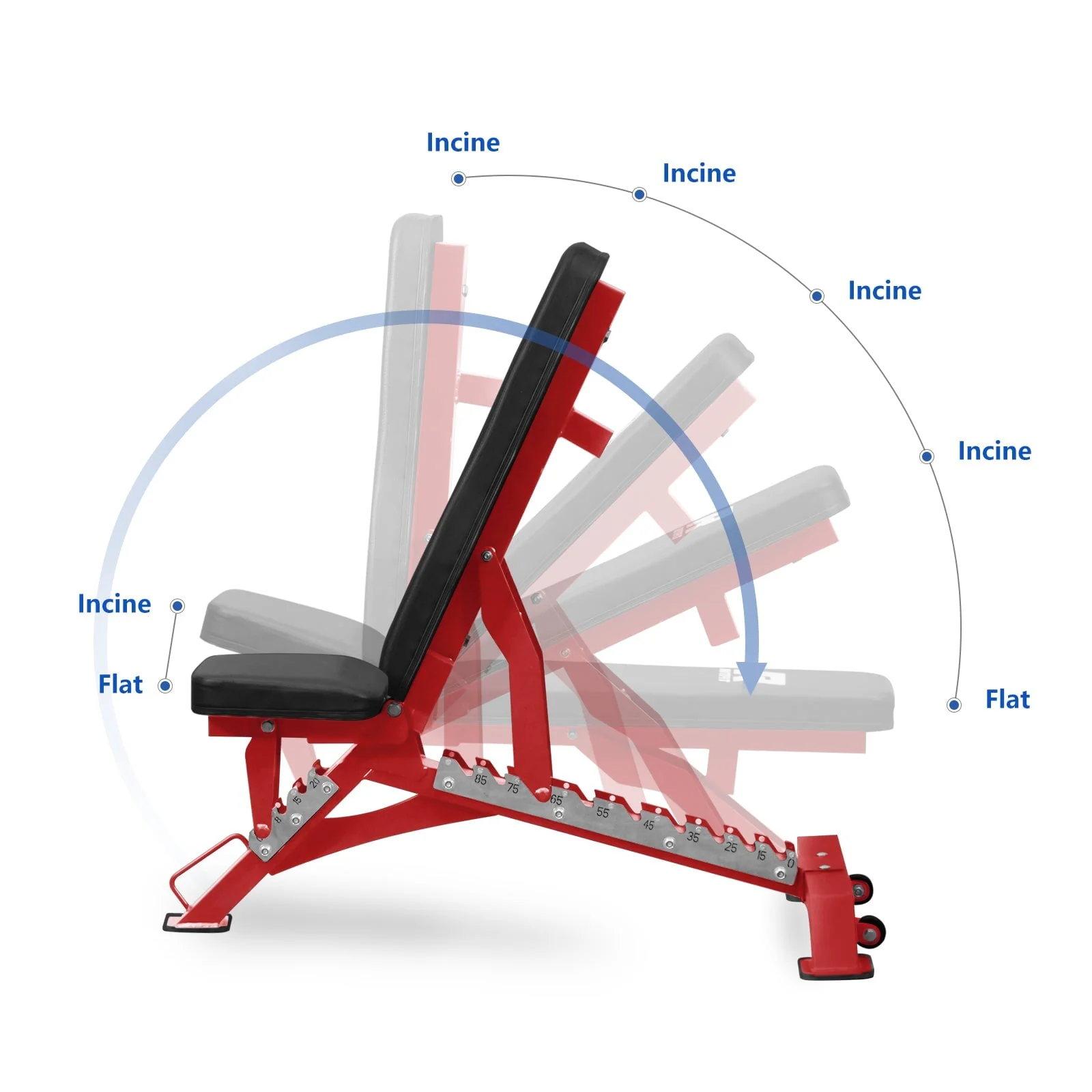 RitFit BWB01 black 1300LB Adjustable Weight Bench | Conspec Limited Berm