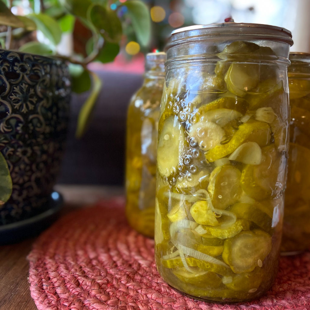 Little Mountain Ranch | Homestead