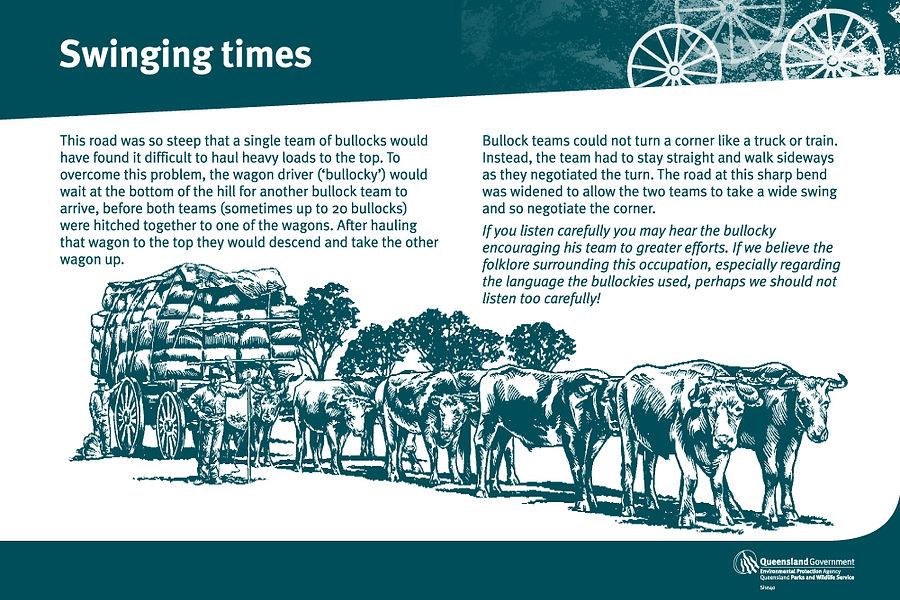 Interpretation | evergreendesign