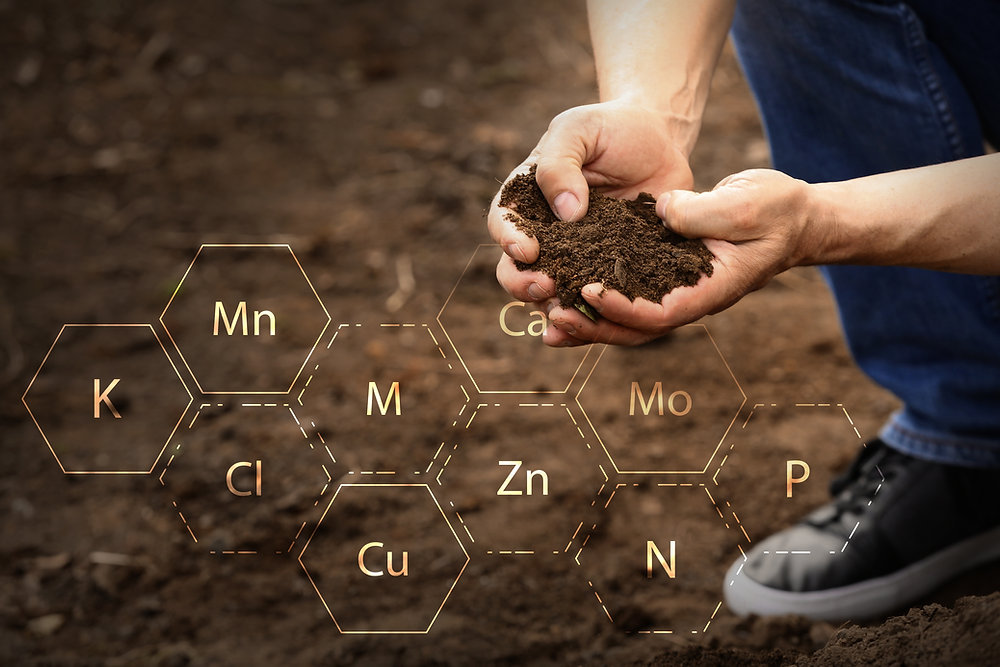 Get More from Your Soil: How Adding Biostimulants Can Help