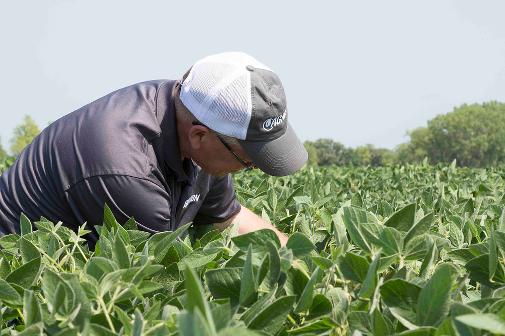 Bolster Plants' Access to Nutrients with Generate® & Procure®