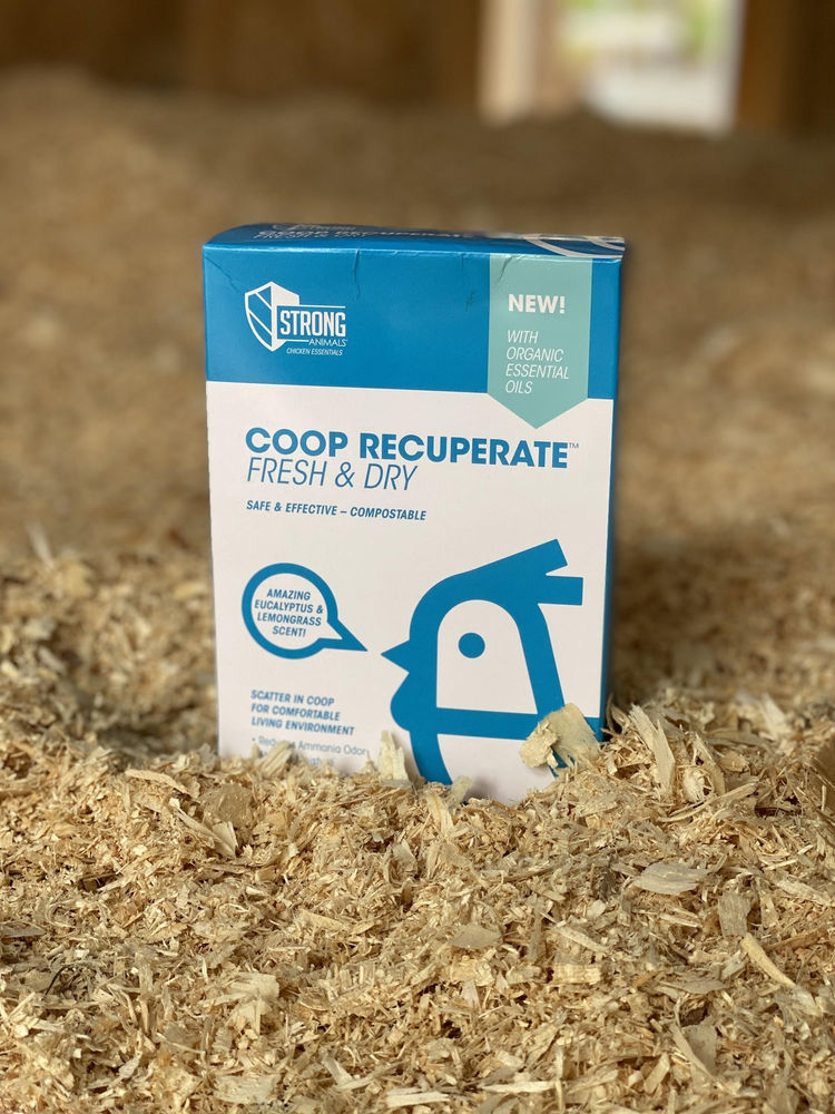 The Secret to Healthy Bedding in Your Coop