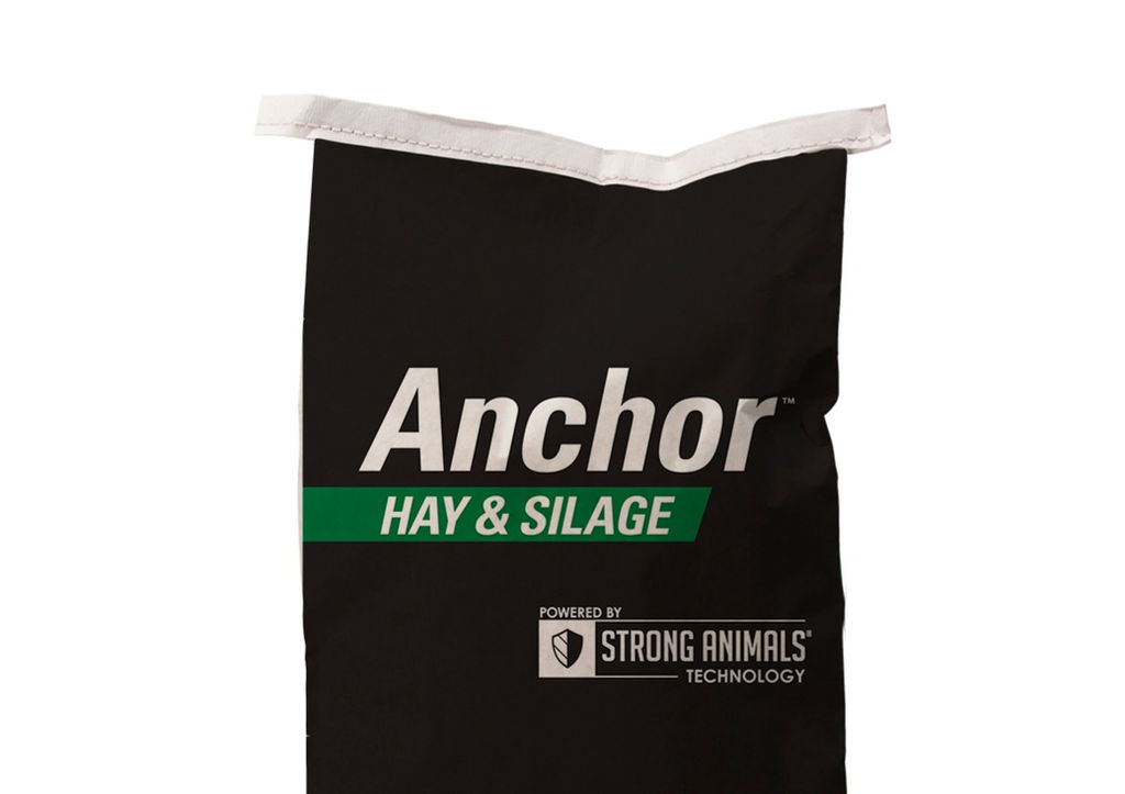 Vitalix Launches Equine Lick Tub with Strong Animals® Technologies