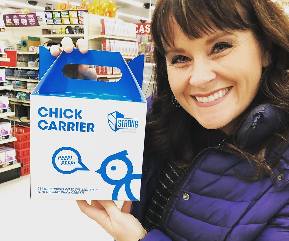 Your Guide to Purchasing Chicks