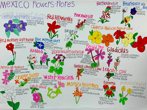 "Mexico Flowers" by Yesenia Duran | sagestudioatx