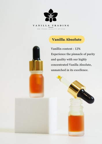Vanilla Absolute | Vanilla Trading