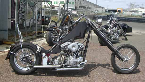 WILD ROAD CHOPPERS／ALL Gallery