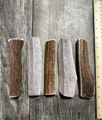 5 Pack Split Elk Antler Dog Chews. Thick Quarter Split Premium Elk ...