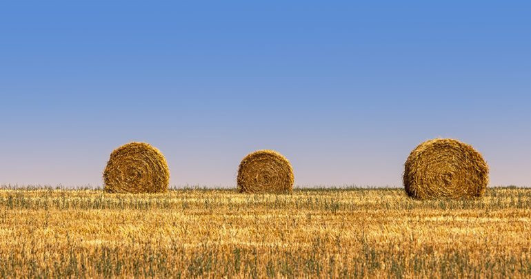 Contact us | Metis Machinery