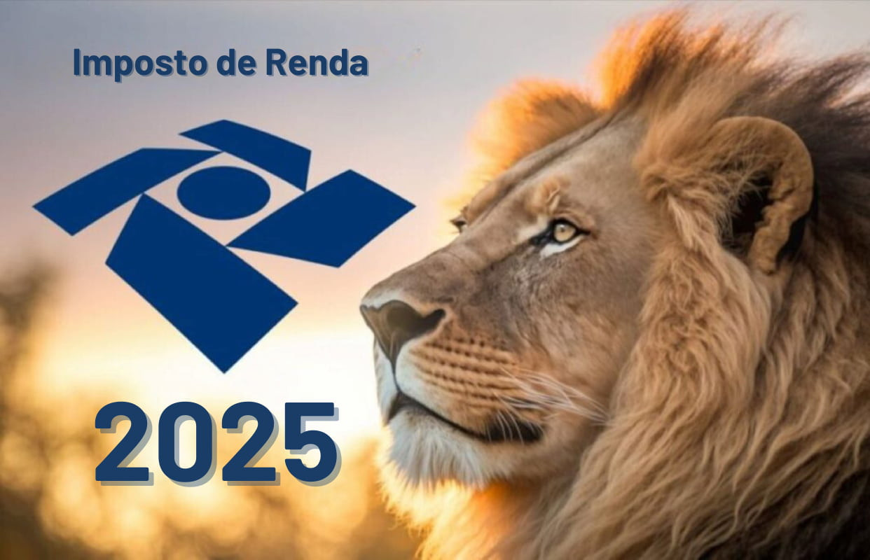IRPF 2025 - Seu Guia Completo