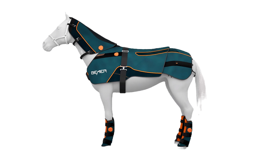 BEMER Microcirculation Technology | Hertz for Health | Magog, QC, Canada