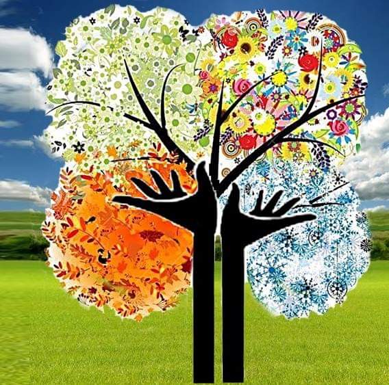 Join "institutobioza" on the Spaces by Wix App