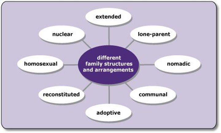 Types of Family Structures