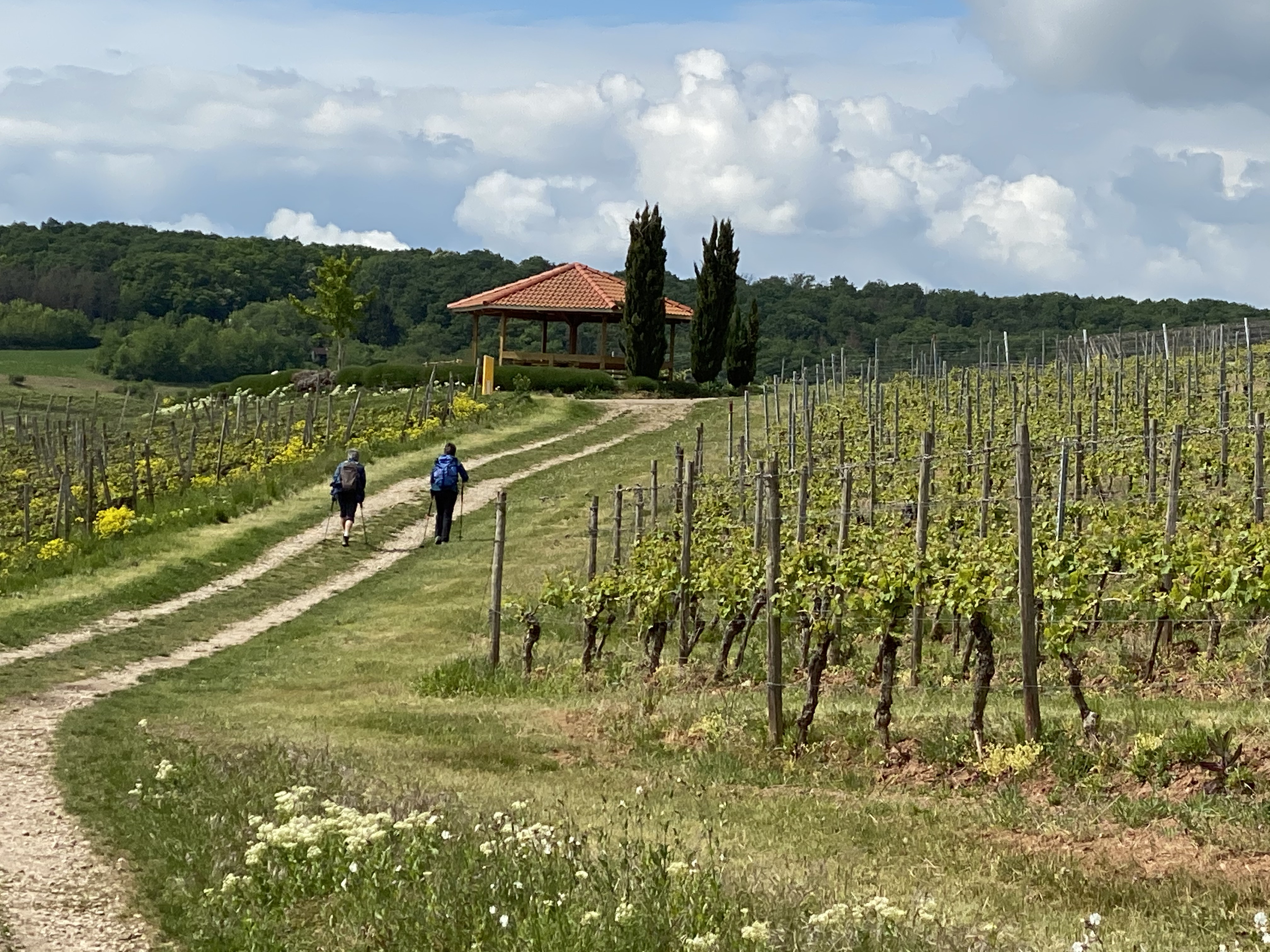 Start | Laubenheim an der Nahe