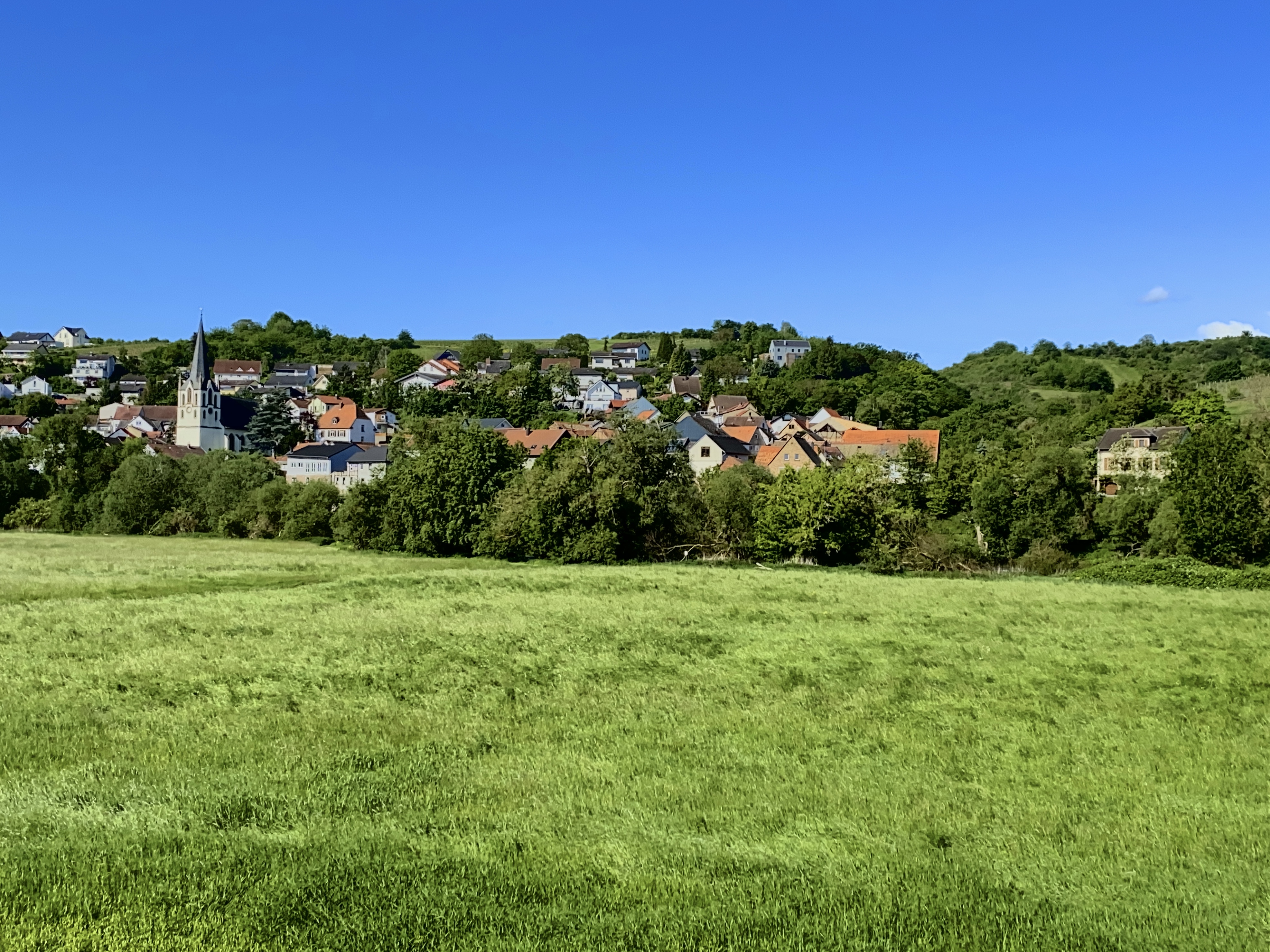 Start | Laubenheim an der Nahe