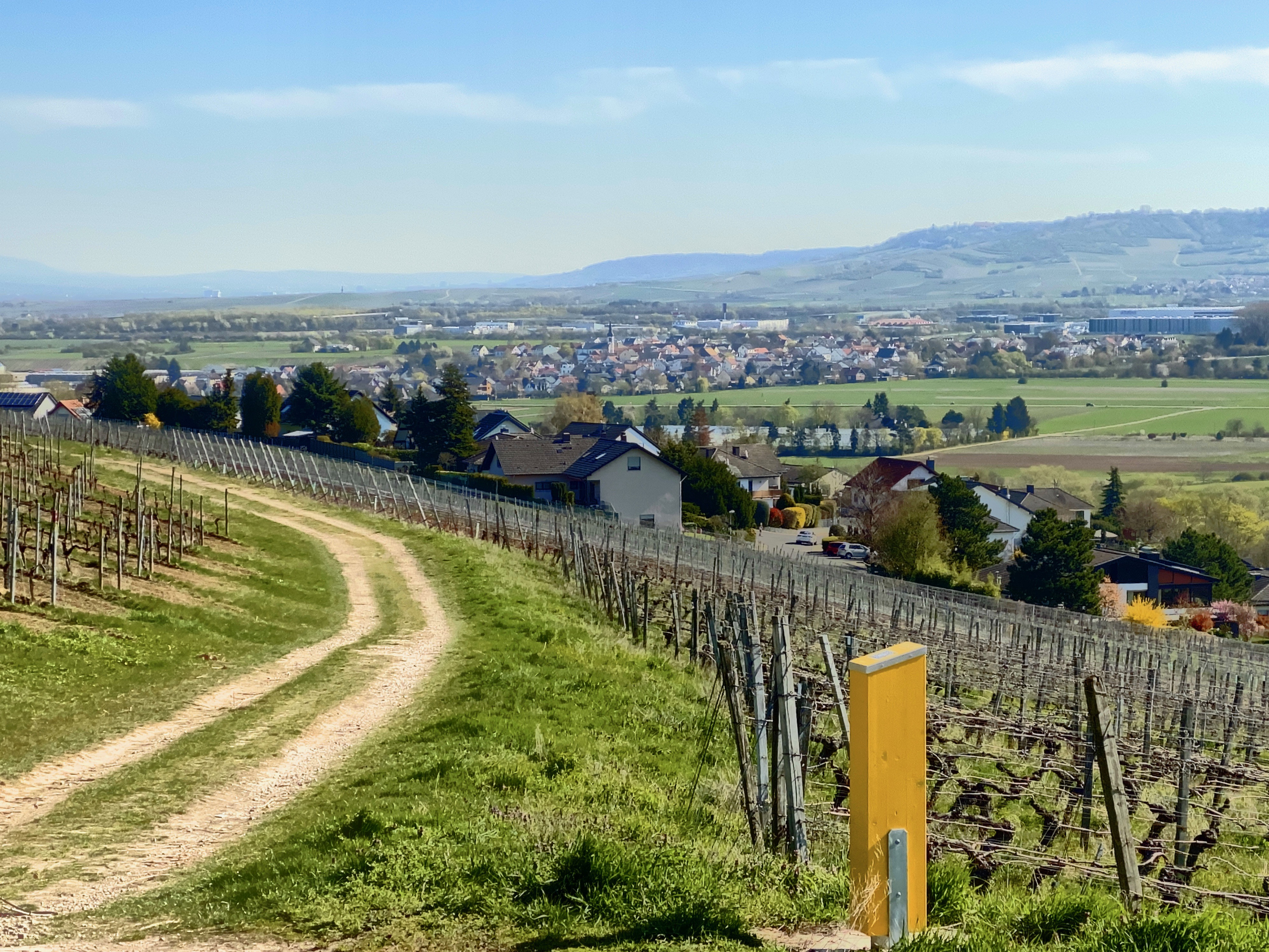 Start | Laubenheim an der Nahe