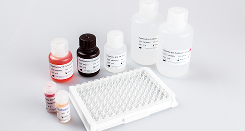 RPR Test Kit, 500 Tests | PhilMed Dynasty