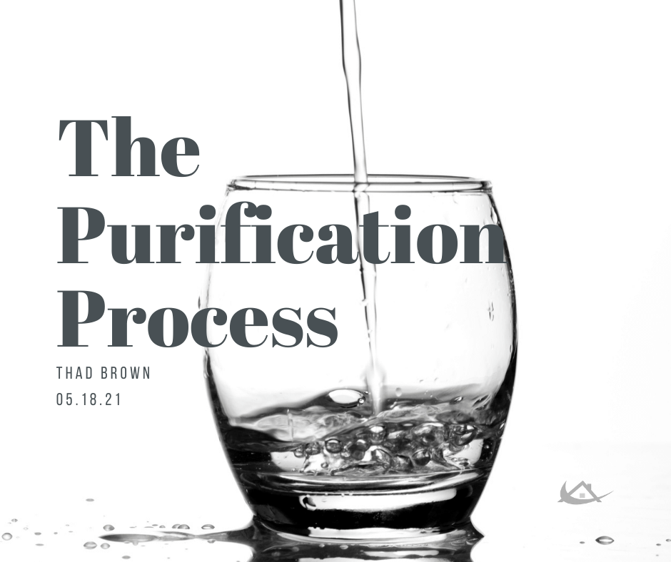 The Purification Process
