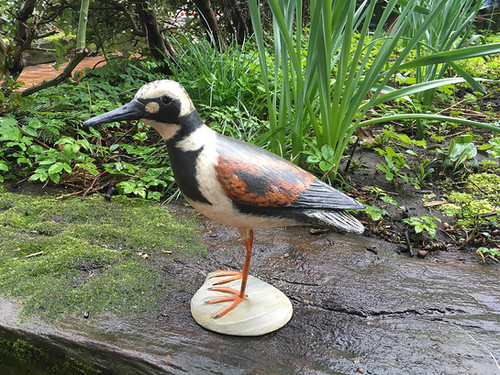 Ruddy turnstone | Reggie Birch Decoys