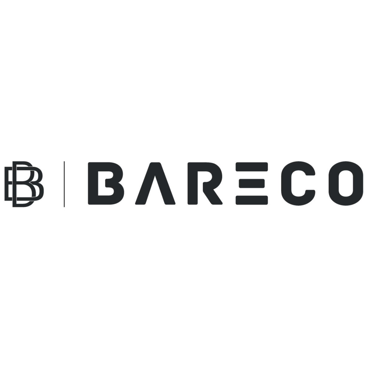 Business Management Consultant BARECO business-management-consultant-bareco