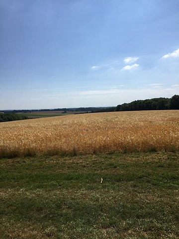 Home | Vale Farm Riding School