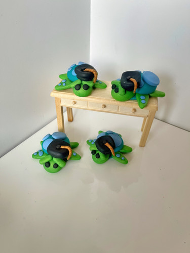 Critters for College - Graduation Turtle | Diverse Dimensions