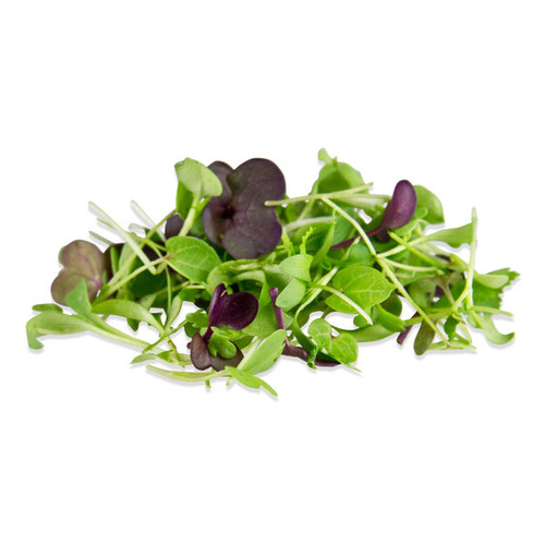 MIX DE MICROGREENS | limacompimenta