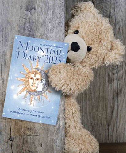 2025 Moontime Diary | spiritualwhispers