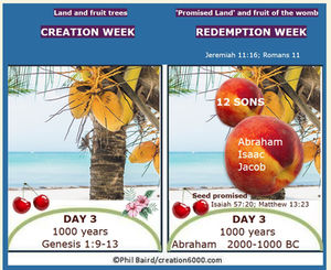 13. Patterns in the 6 Days of Creation