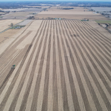 Gallery | Stoy Farms