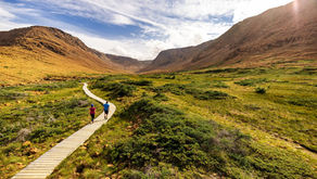 Go Western Newfoundland DMO | Corner Brook, NL