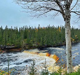 Members | Go Western Newfoundland