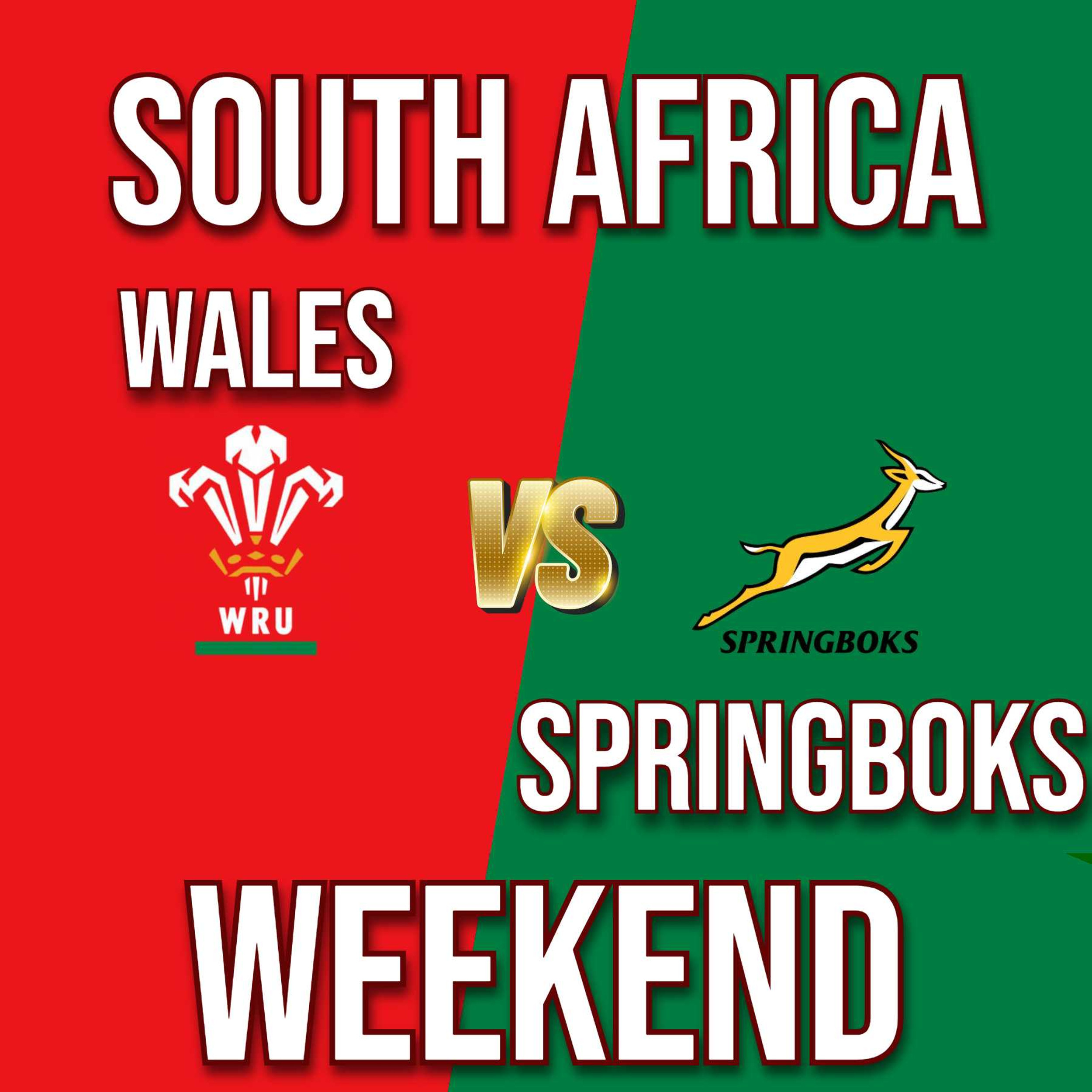 Wales vs Springboks in London 2025