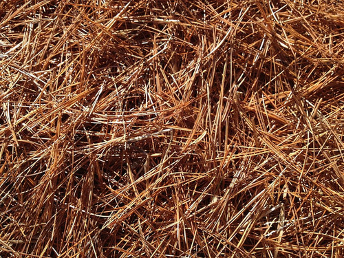 Pine Straw, bale (multiple options) | Buck Jones Nursery