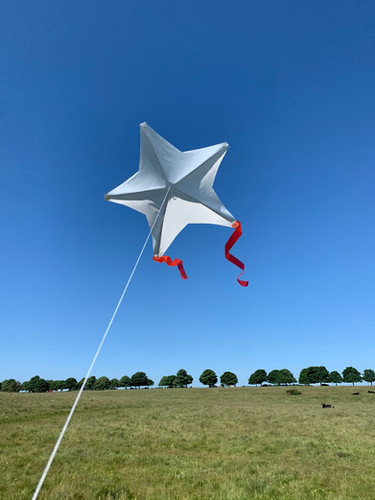Star kite (10 pack) | Mysite