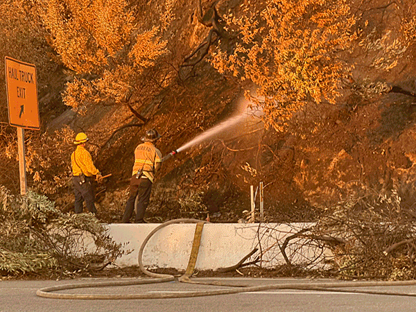LA Fires Disaster Relief