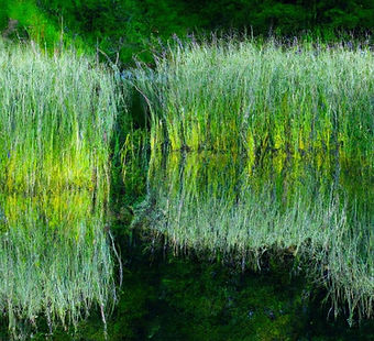 Finetune and transform your leadership with Executive Coaching Insights