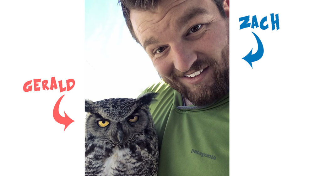 How to help injured and sick birds - Learn what to do when you find a ...