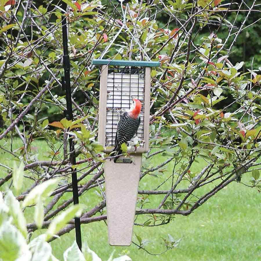 The Best Suet Feeder - A Guide to Purchasing Feeders for Woodpeckers ...