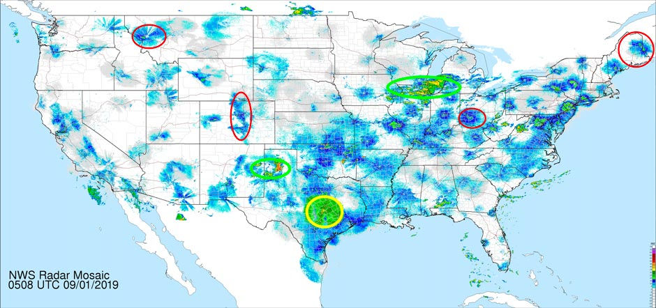 Bird-dar? Watch migration using weather radar.