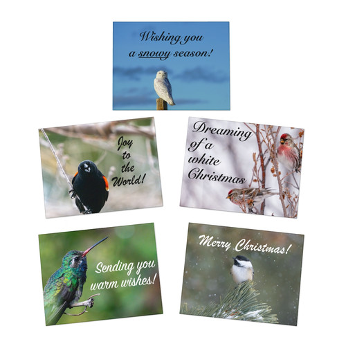 Bird Christmas Cards | Birding Greeting Cards | Flocking Around
