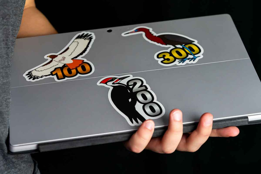 How to Use Bird Codes