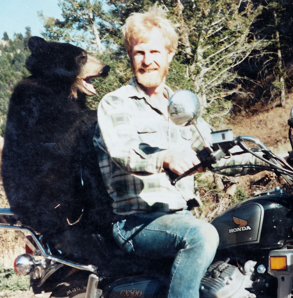 Buffy Gallery | author-ben-mikaelsen