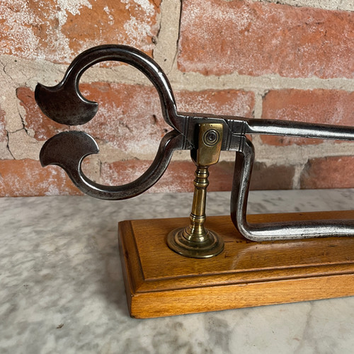 A Victorian Sugar Cutter | R.J. Maypole