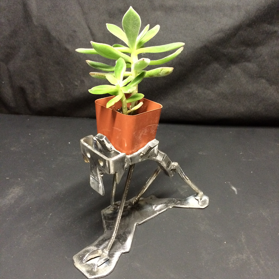 Planter Bots | johncoreyluebbers